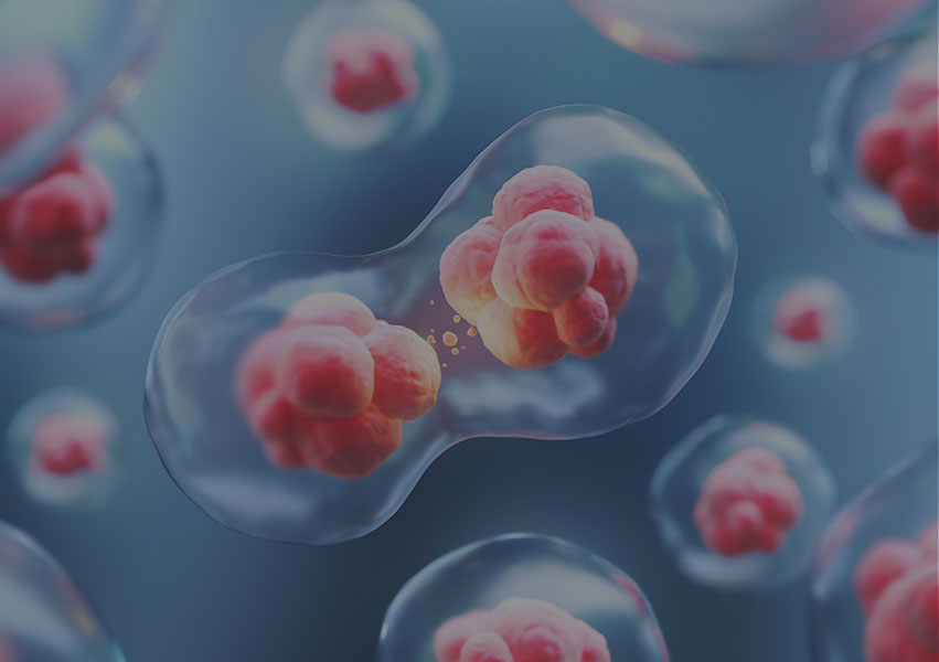 아델 공지사항 게시판입니다. – ADEL